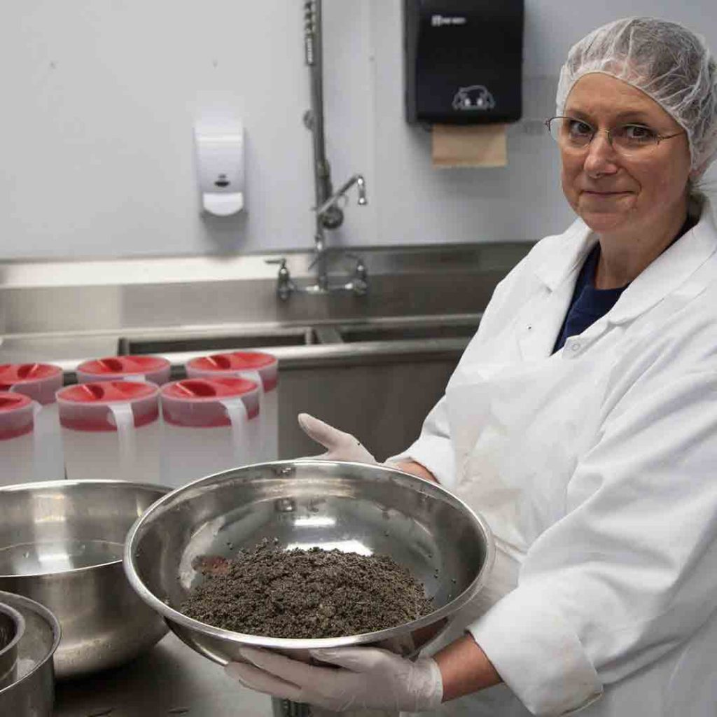 What is Food Technology and Where is It Going? - i3L University