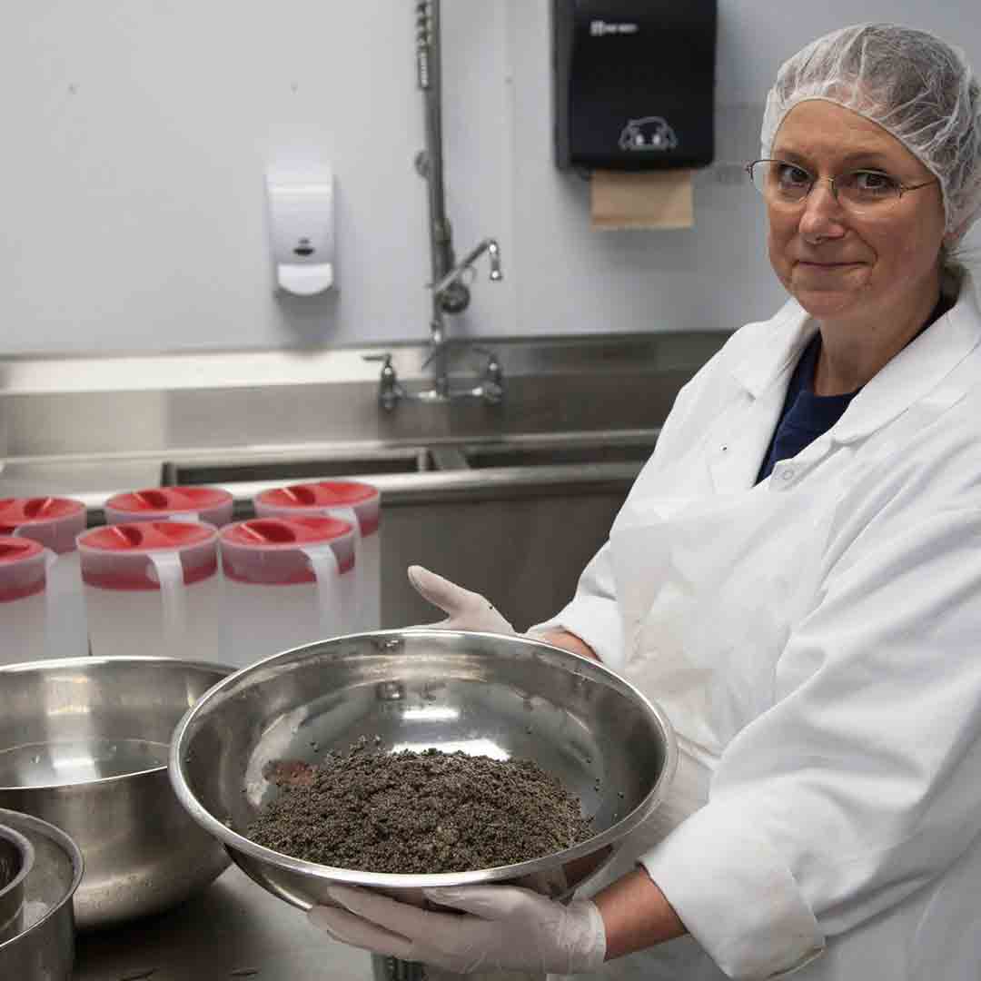 What is Food Technology and Where is It Going? - i3L University