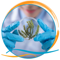 Microbiology Method Validation – Enumeration, Pathogen Identification