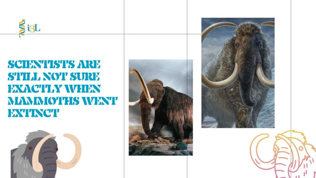 Scientists are still not sure exactly when mammoths went extinct - i3L ...