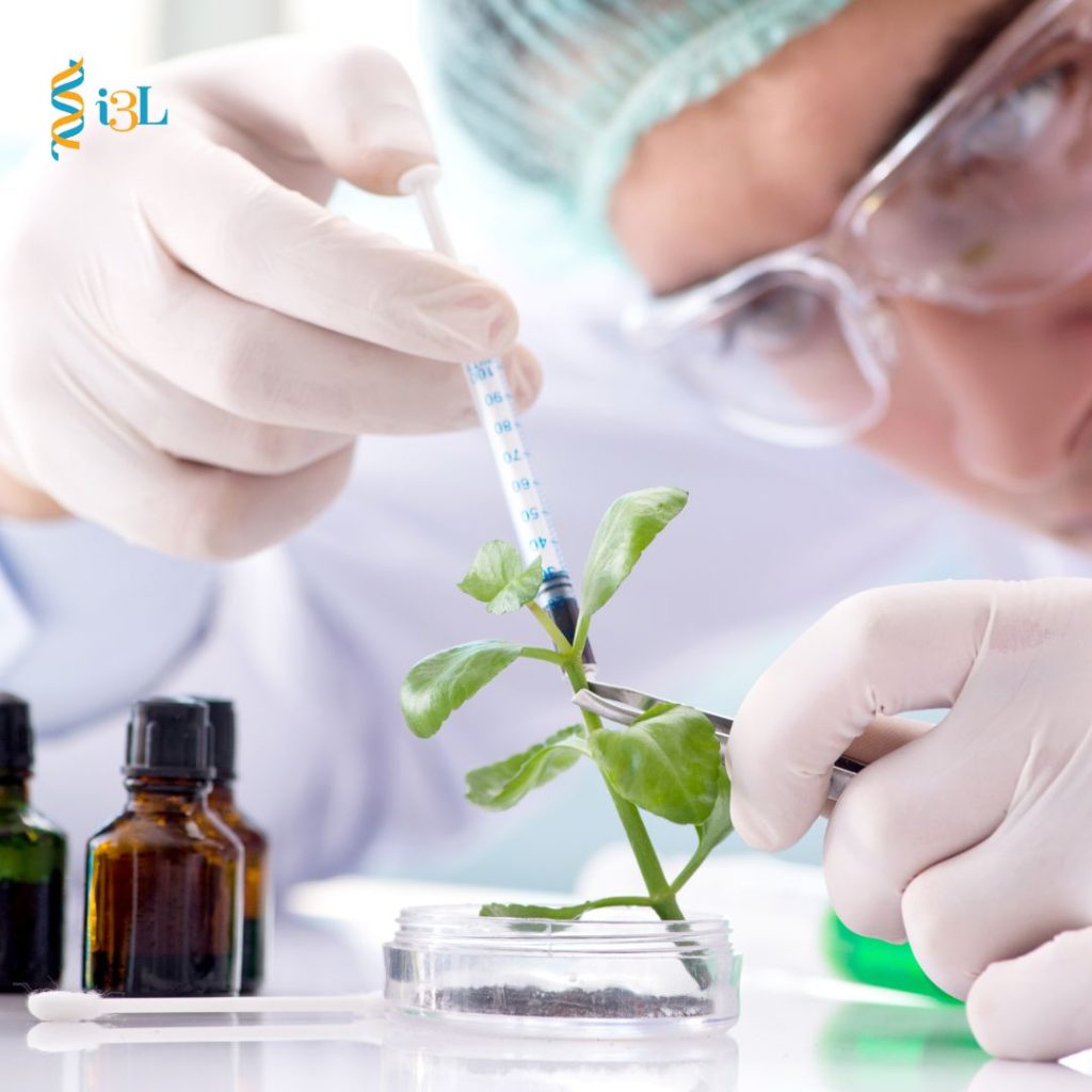 Biotechnology | i3L University Bachelor's Study Program
